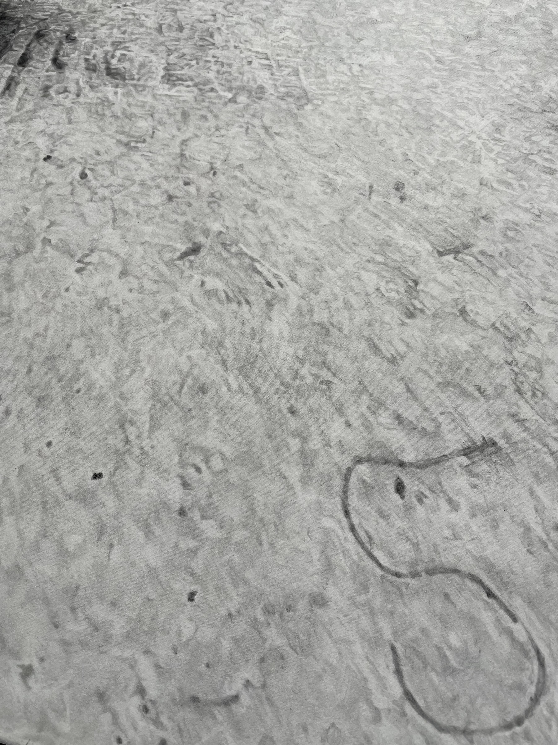 Polaris Portraits – Anna Von Mertens